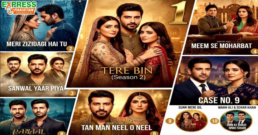 Top 10 Pakistani TV Dramas 2025: Highest Rated Hits