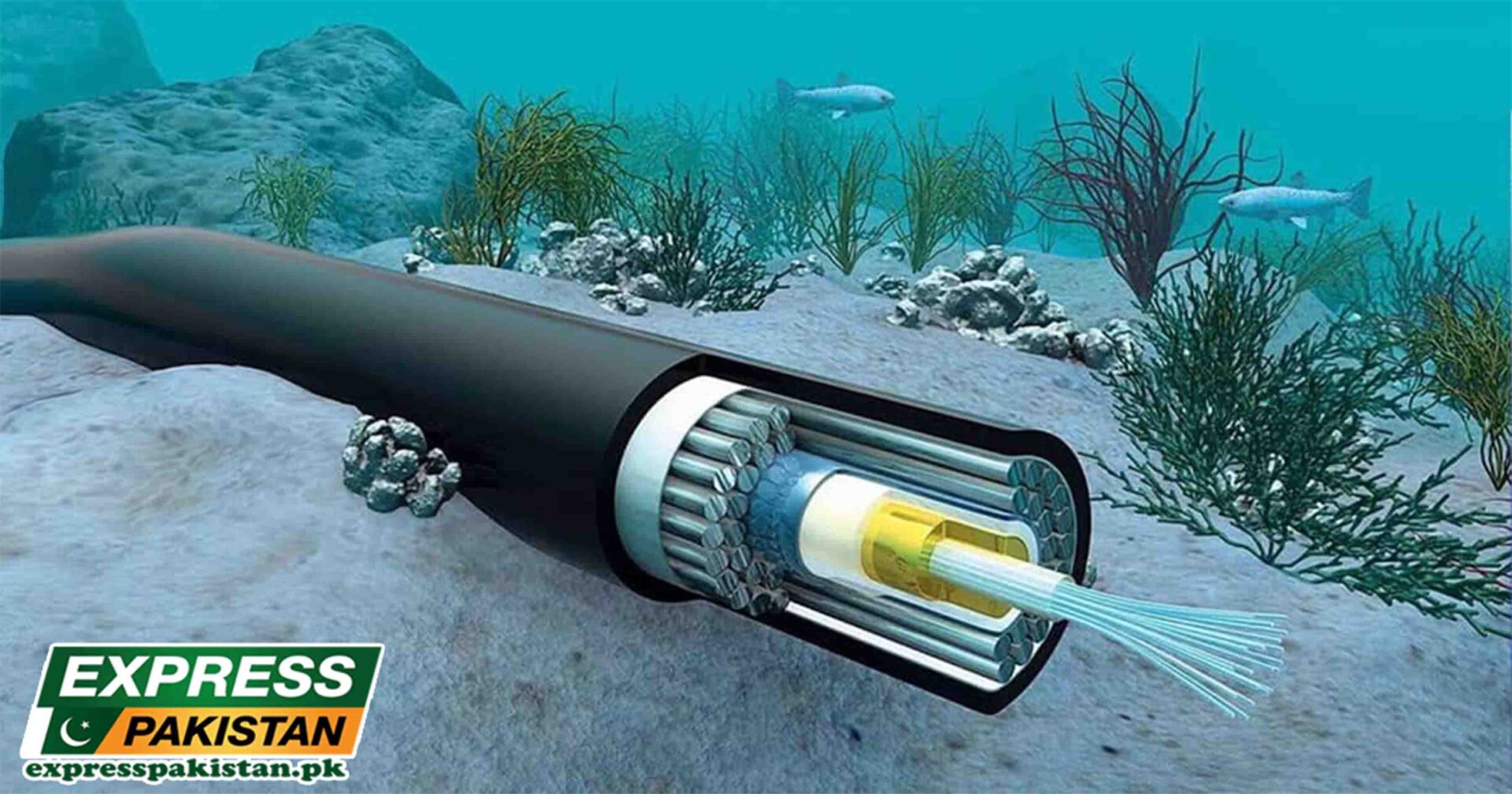 Pakistan to Lay Three New Submarine Internet Cables in 2026